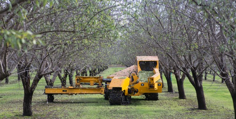 Almond Winter Shake-1narrow - Orchard Machinery Corporation