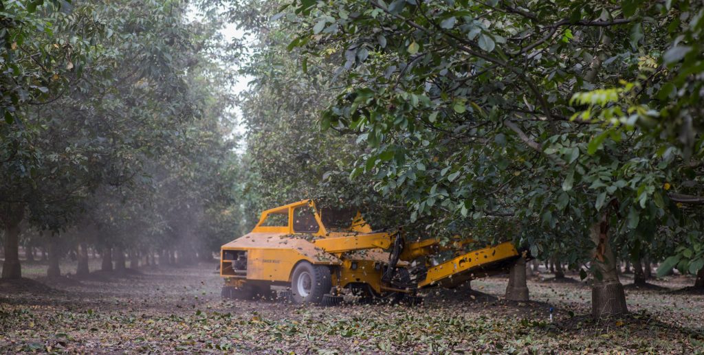 Tree Shaker - Shockwave Monoboom - Orchard Machinery Corporation