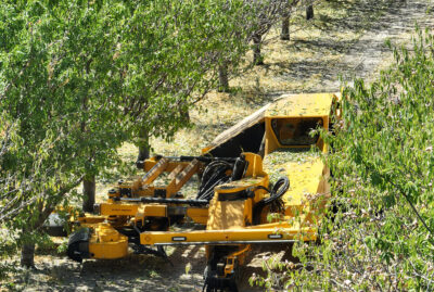 Orchard Machinery Corporation - Tree Nut and Fruit Harvesting Solutions