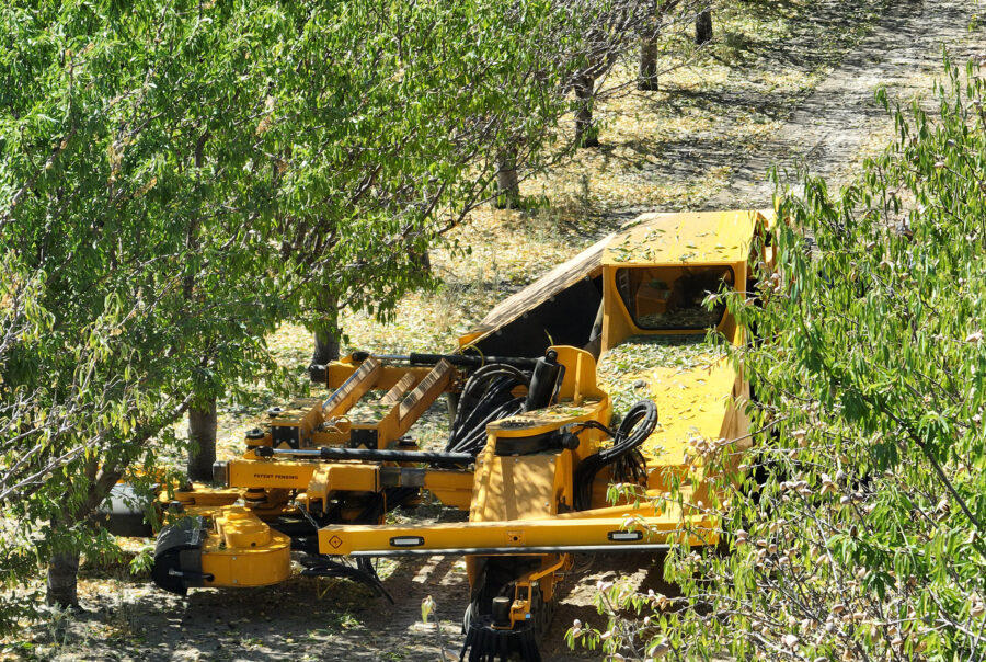 Orchard Machinery Corporation - Tree Nut and Fruit Harvesting Solutions